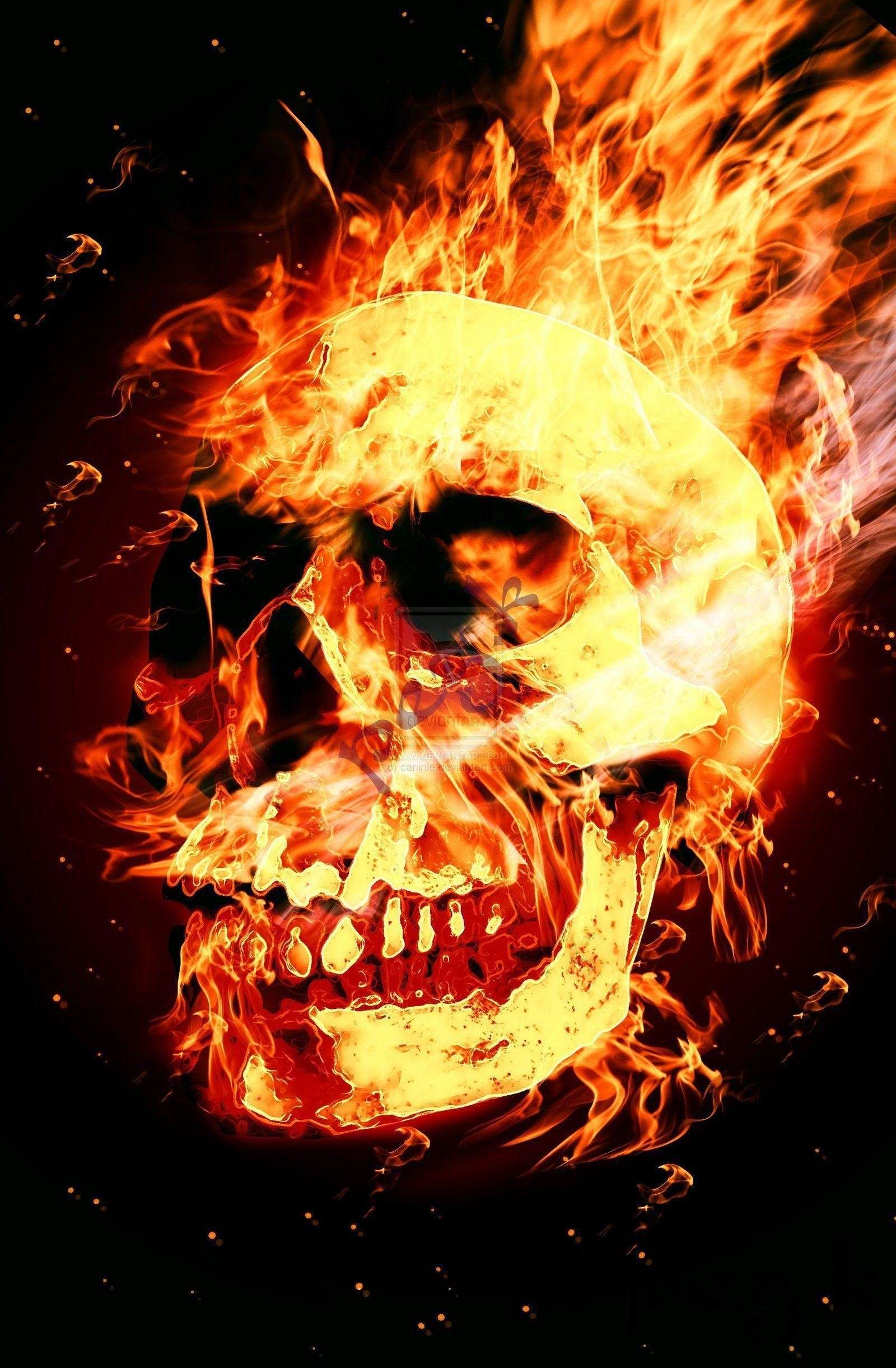 Skull and Fire Wallpapers - Top Free Skull and Fire Backgrounds ...