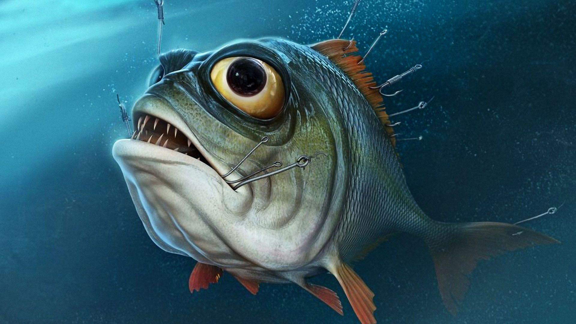 Awesome Fish Wallpapers - Top Free Awesome Fish Backgrounds ...