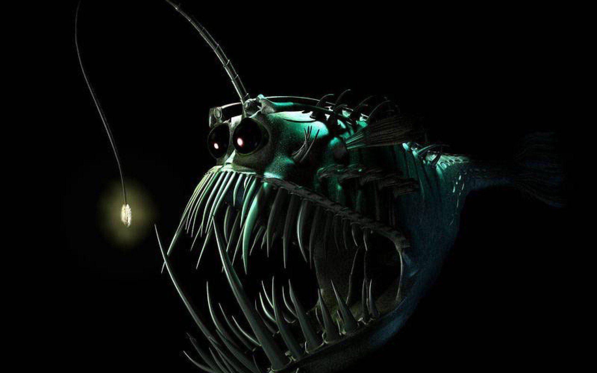 Scary Fish Wallpapers - Top Free Scary Fish Backgrounds - WallpaperAccess