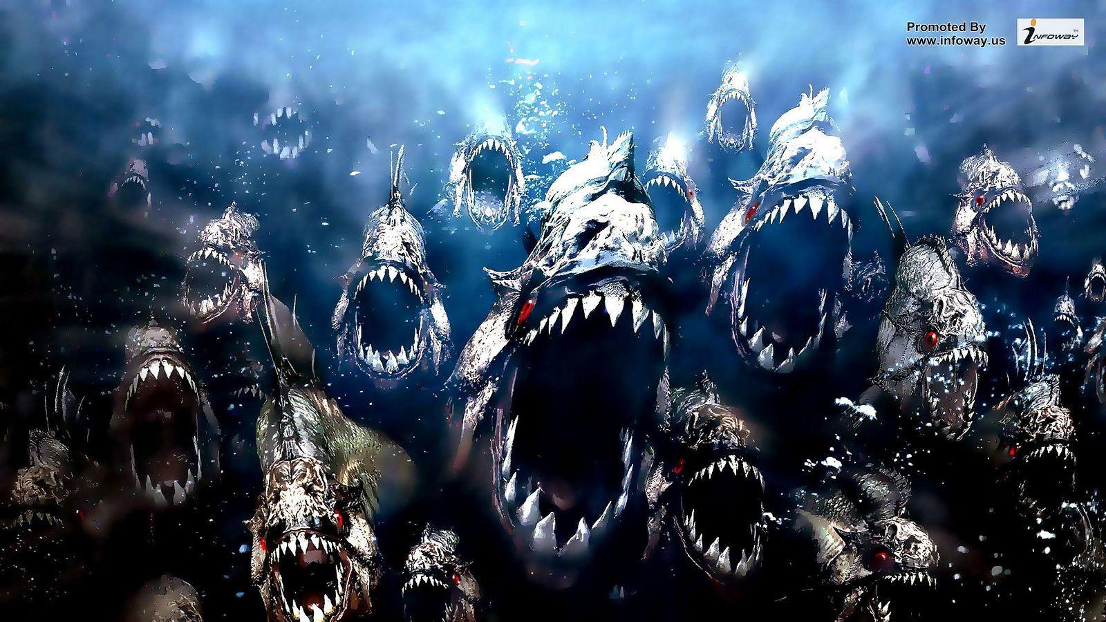Scary Fish Wallpapers - Top Free Scary Fish Backgrounds - WallpaperAccess