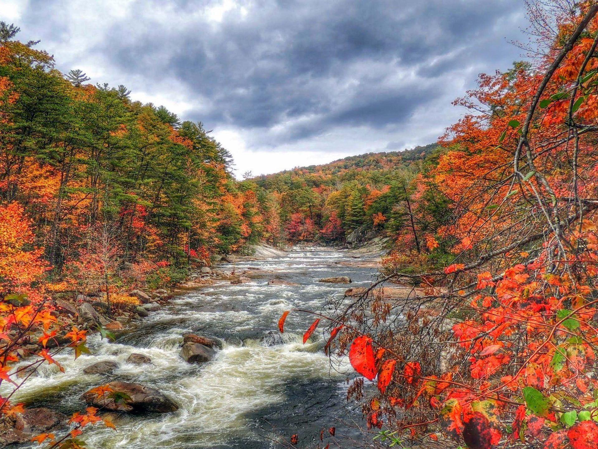 Georgia Nature Wallpapers - Top Free Georgia Nature Backgrounds ...