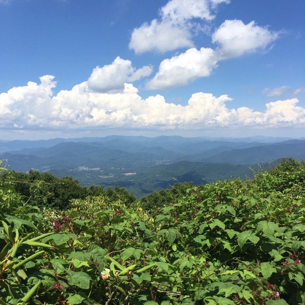 Georgia Nature Wallpapers - Top Free Georgia Nature Backgrounds ...