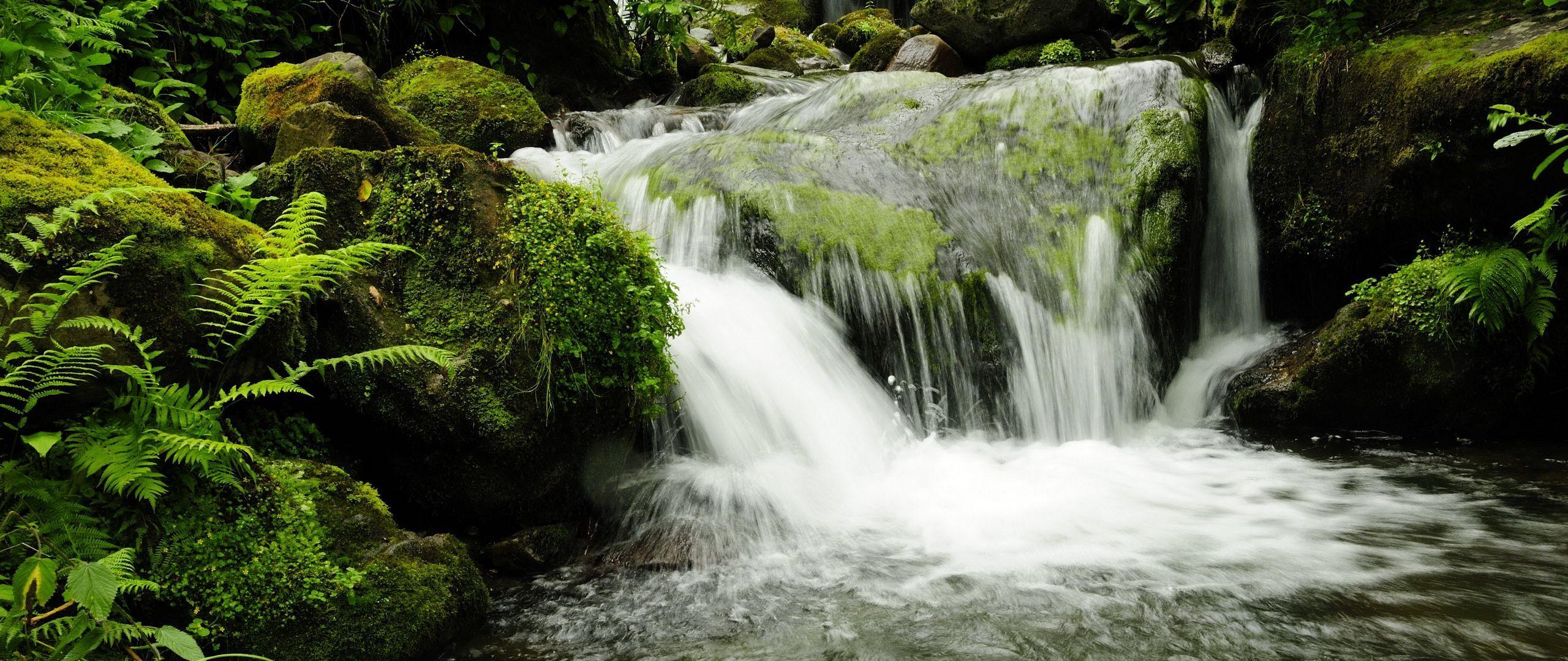 Georgia Nature Wallpapers - Top Free Georgia Nature Backgrounds ...