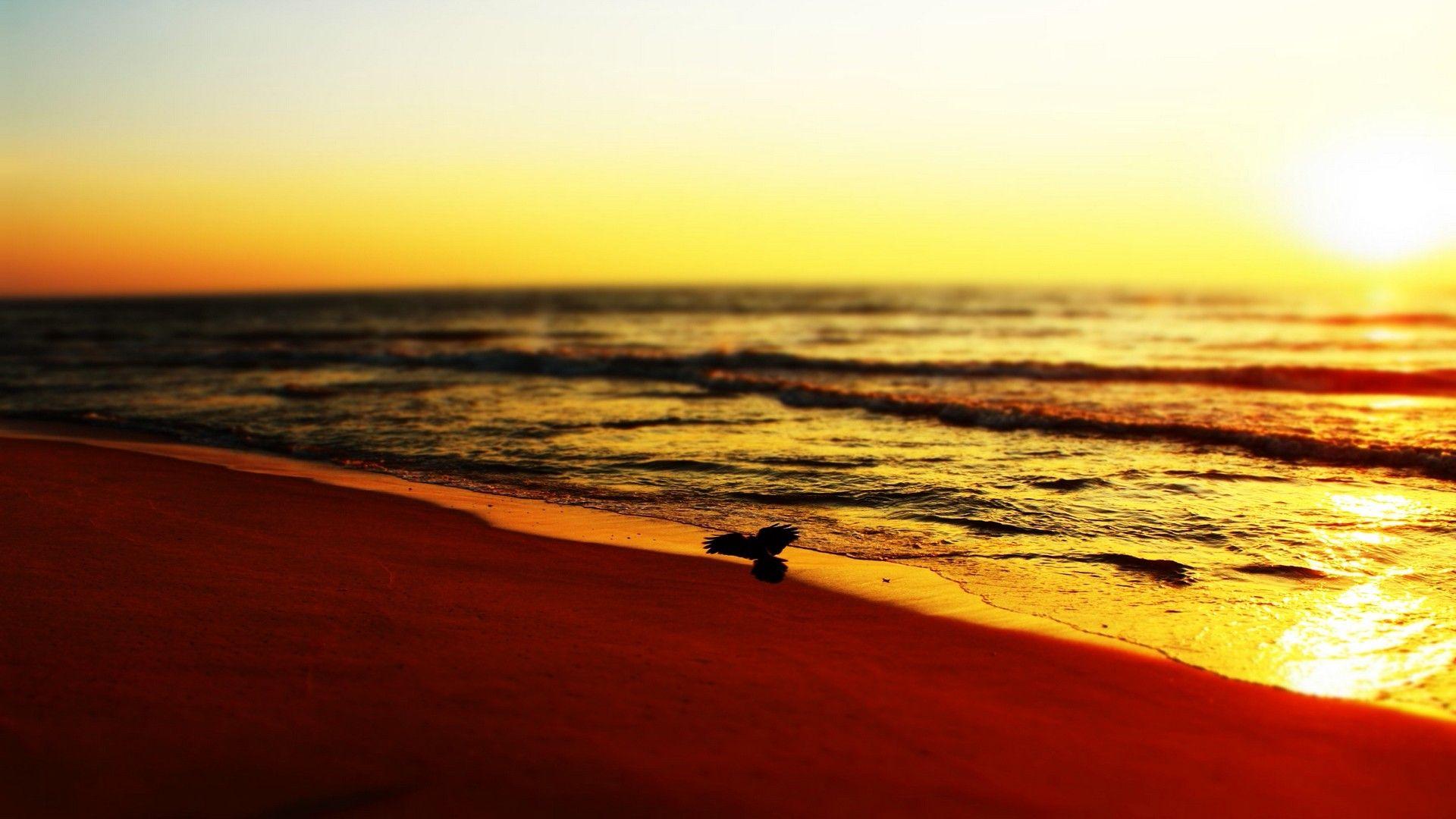 Beach Sunset Waves Desktop Wallpapers - Top Free Beach Sunset Waves ...