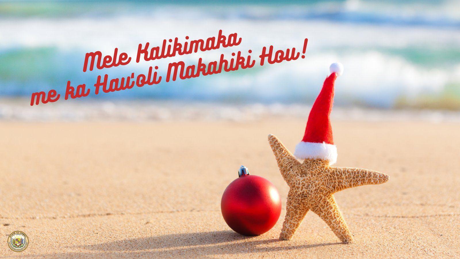 Mele Kalikimaka Wallpapers - Top Free Mele Kalikimaka Backgrounds ... Mele Kalikimaka Wallpapers - Top Free Mele Kalikimaka Backgrounds ...