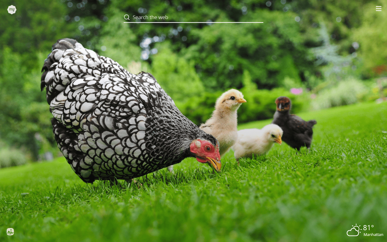 Cute Baby Animal Farm Wallpapers - Top Free Cute Baby Animal Farm ...