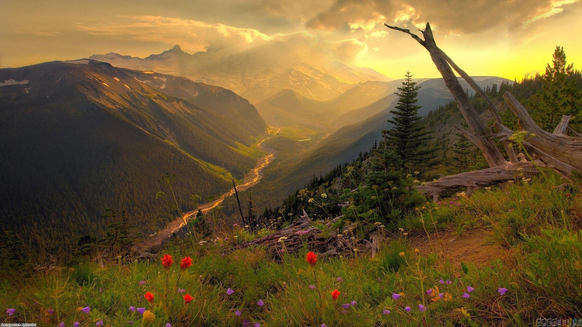 Summer Mountain Scenery Wallpapers - Top Free Summer Mountain Scenery ...