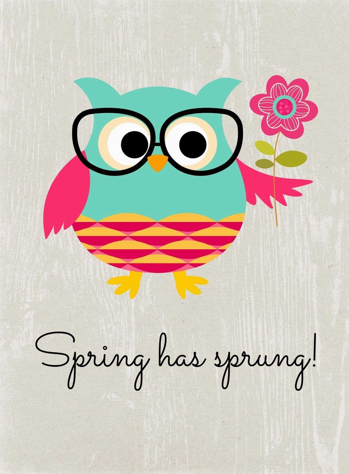Baby Spring Owl Wallpapers - Top Free Baby Spring Owl Backgrounds ...