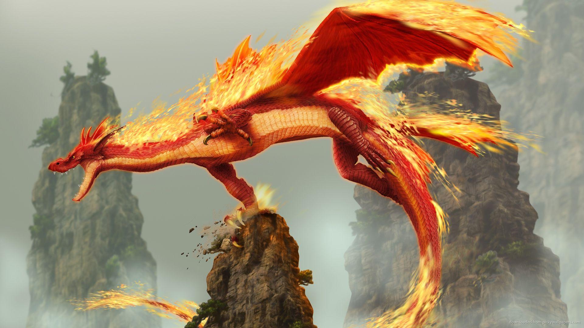 Hybrid Dragon Wallpapers - Top Free Hybrid Dragon Backgrounds ...