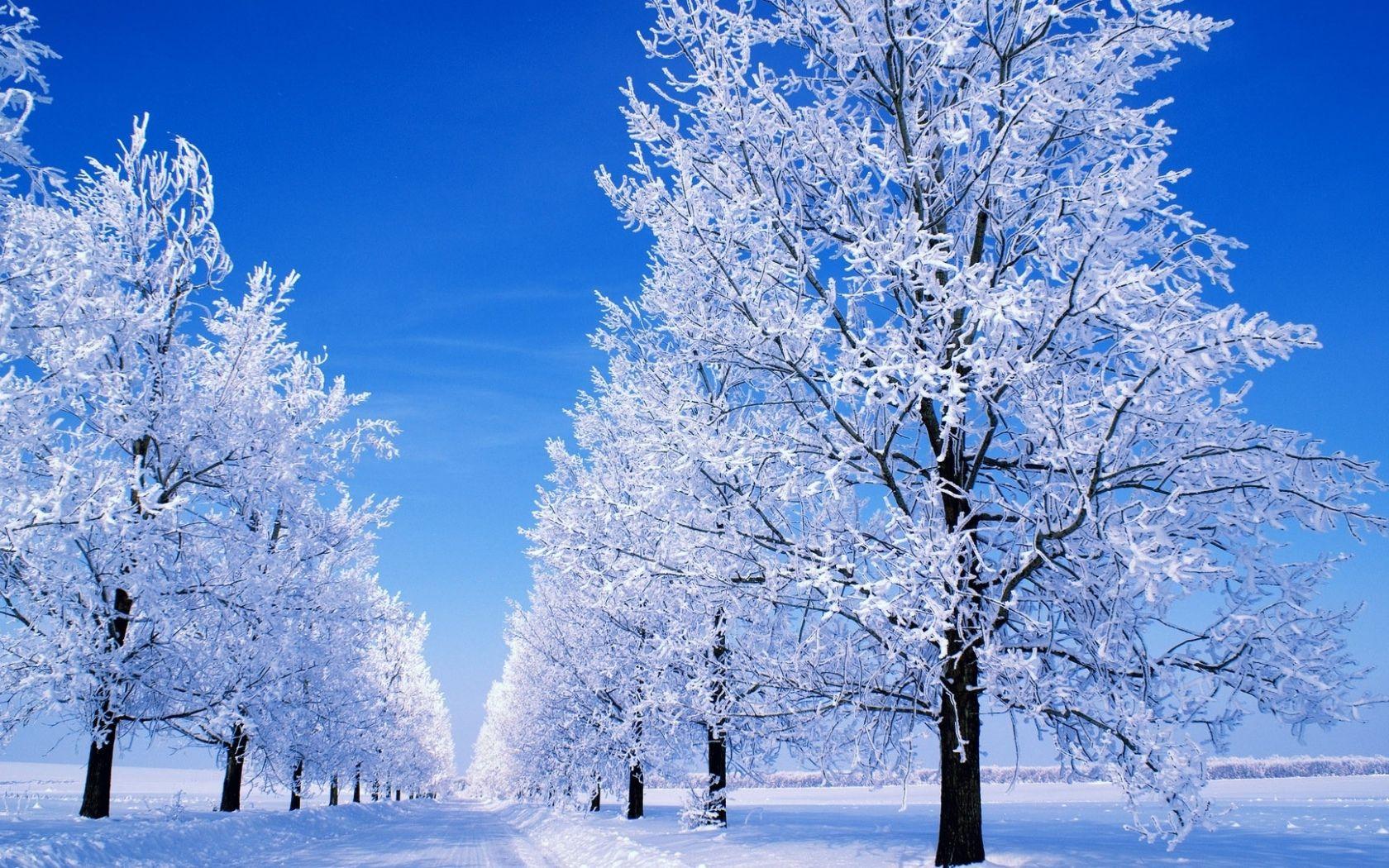 Winter Scenery Desktop Wallpapers - Top Free Winter Scenery Desktop ...