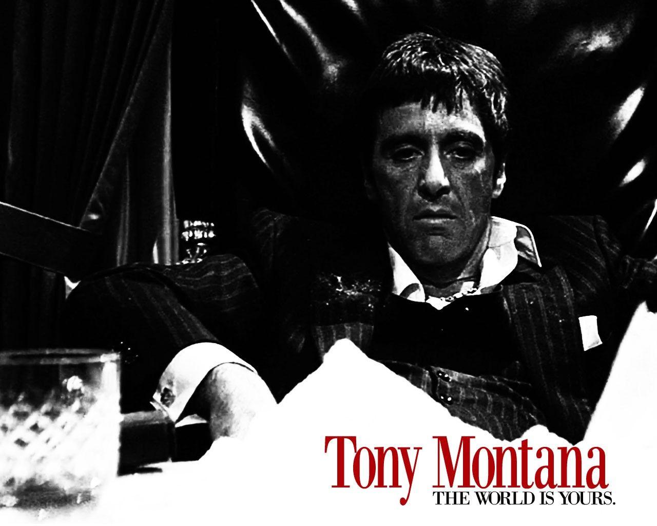 Tony and Manny Wallpapers - Top Free Tony and Manny Backgrounds ...