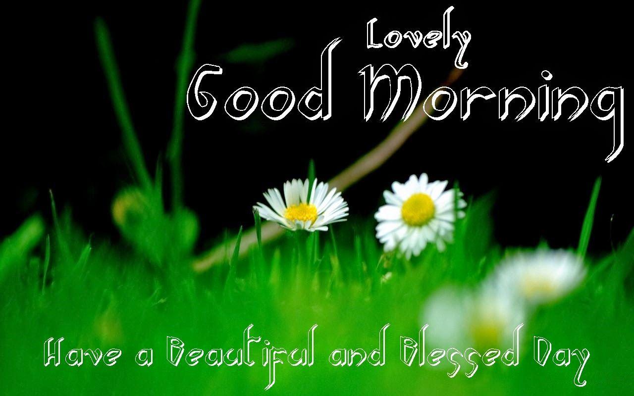 Beautiful Good Morning HD Wallpapers - Top Free Beautiful Good Morning ...