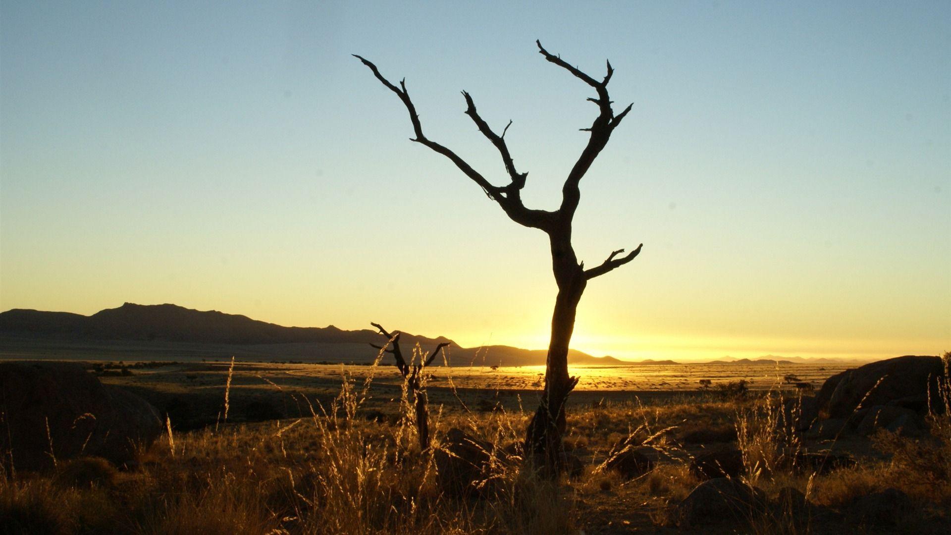 Desert Summer Wallpapers - Top Free Desert Summer Backgrounds ...