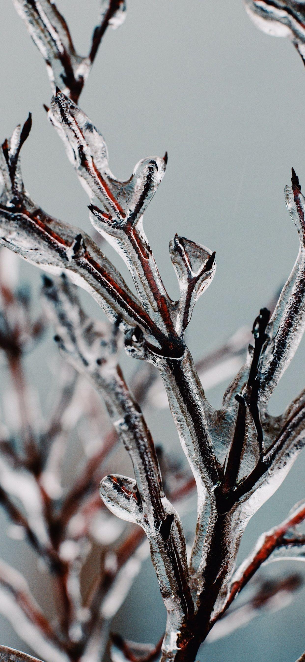 Snow Scene iPhone Wallpapers - Top Free Snow Scene iPhone Backgrounds ...