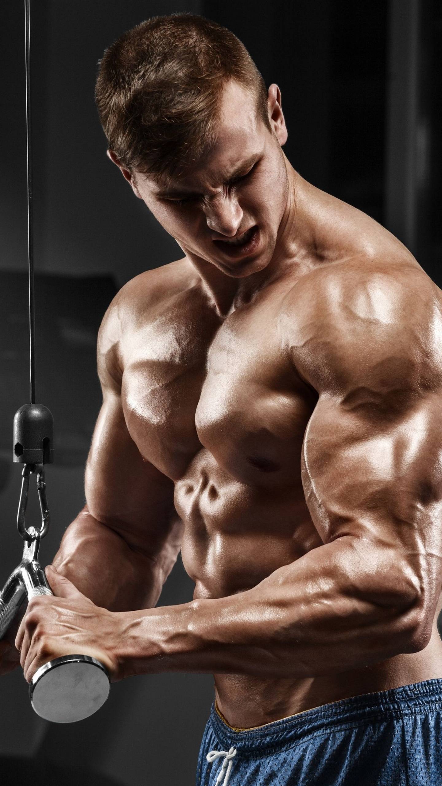 Bodybuilding Phone Wallpapers - Top Free Bodybuilding Phone Backgrounds ...