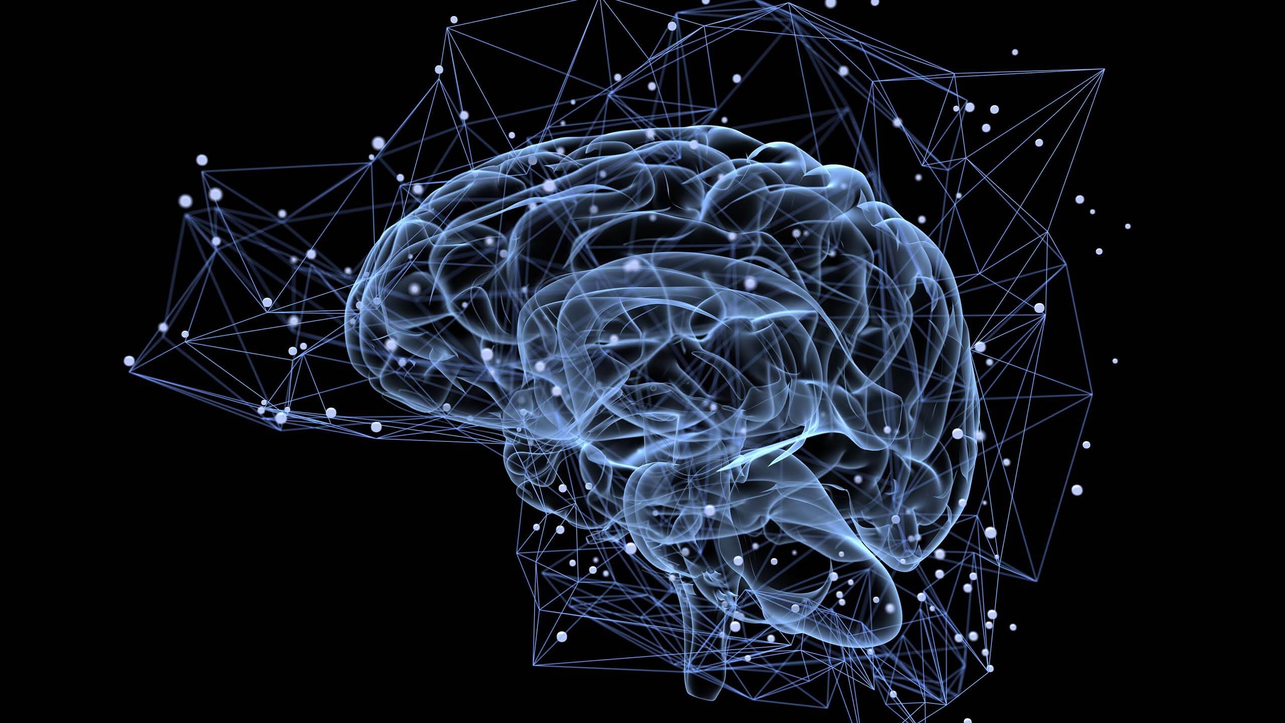 Brain 4k Wallpapers - Top Free Brain 4k Backgrounds - WallpaperAccess