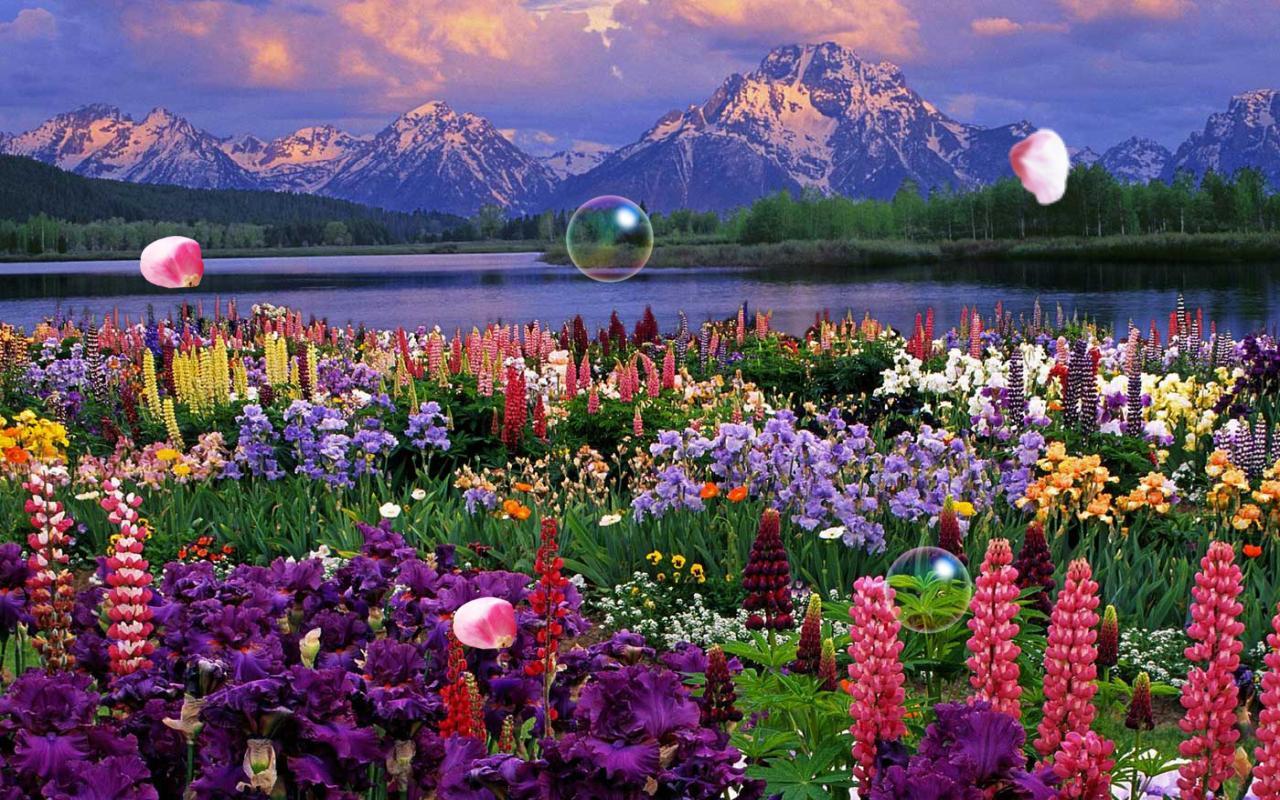 Fantasy Spring Wallpapers - Top Free Fantasy Spring Backgrounds ...