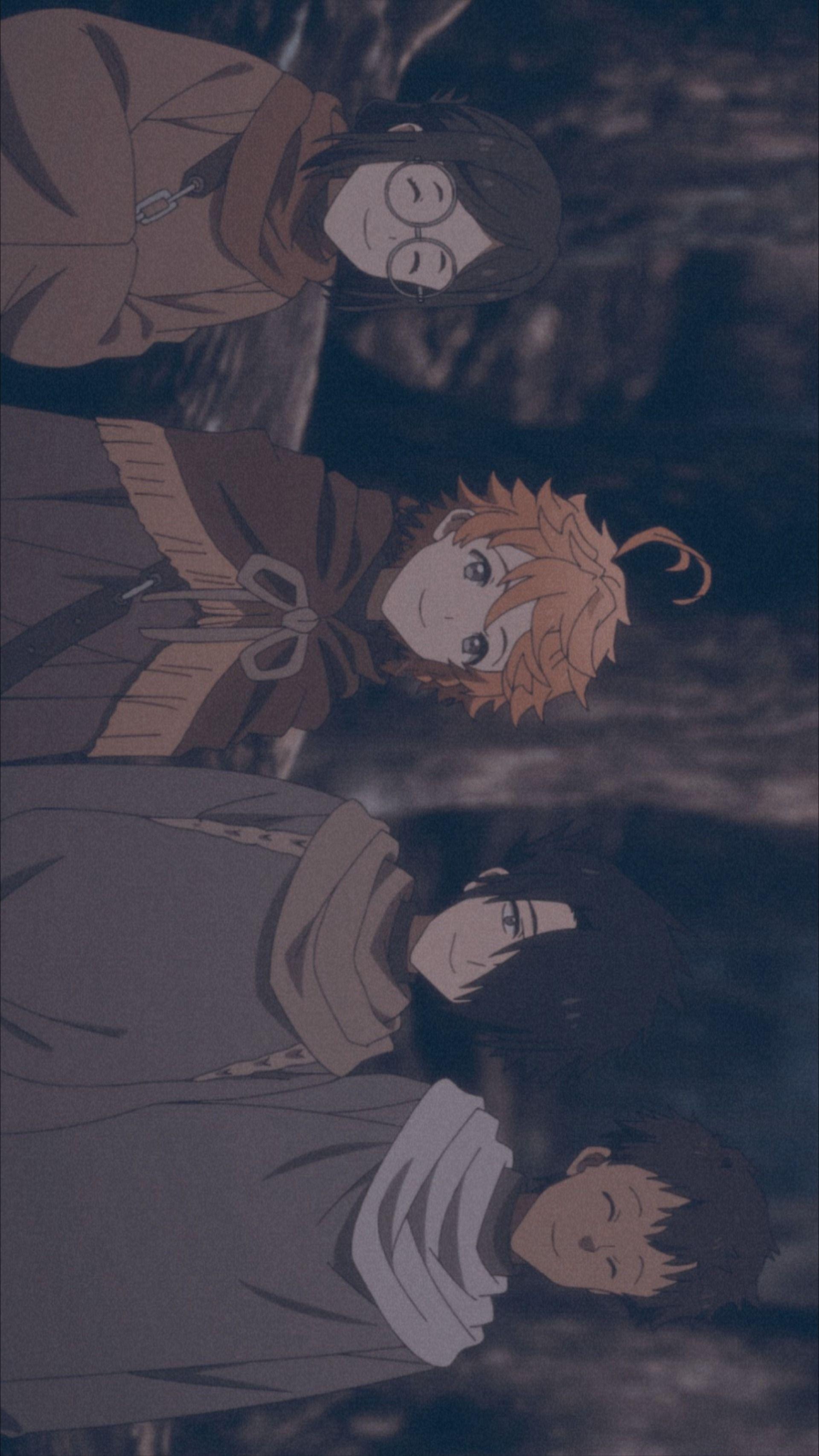 TPN Wallpapers - Top Free TPN Backgrounds - WallpaperAccess