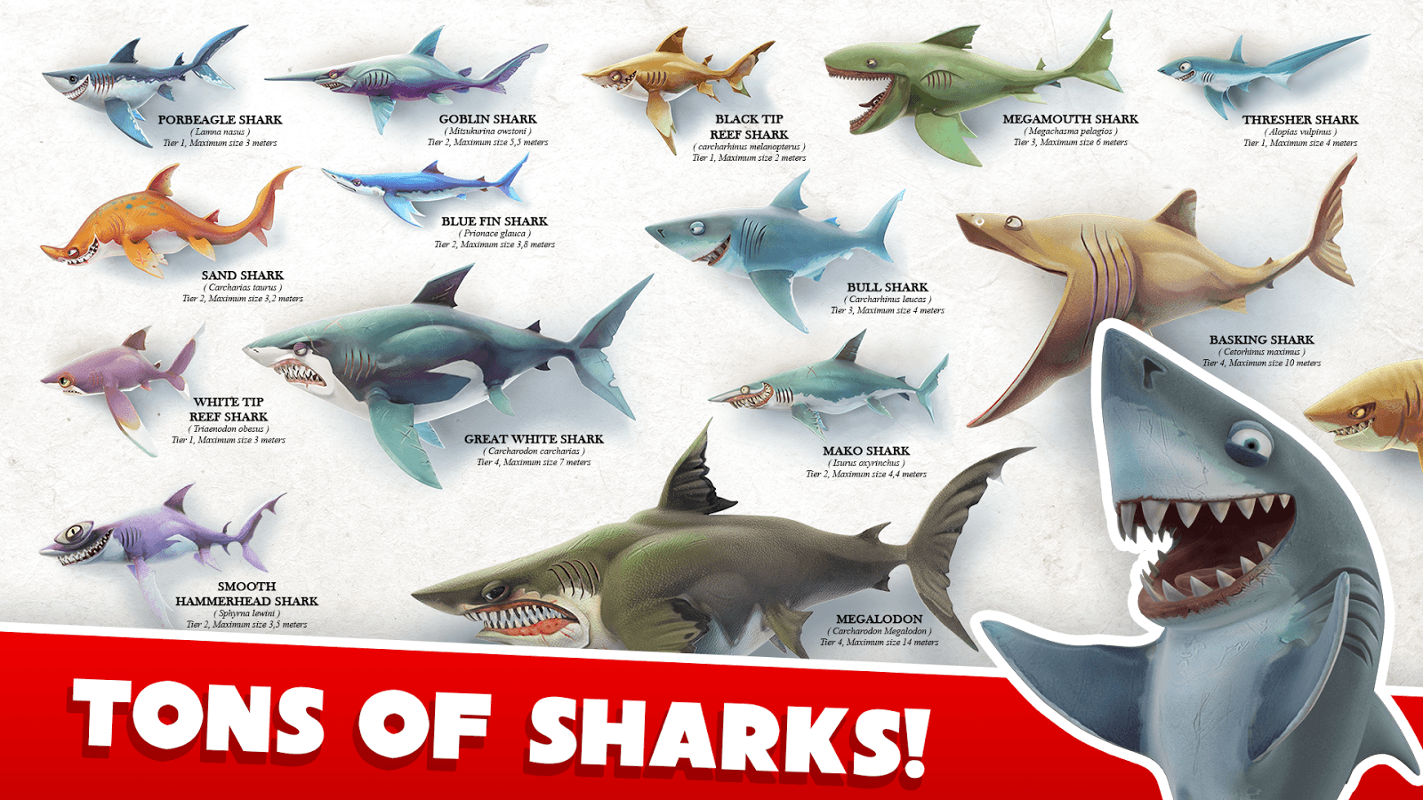 Hungry Shark World Wallpapers - Top Free Hungry Shark World Backgrounds ...