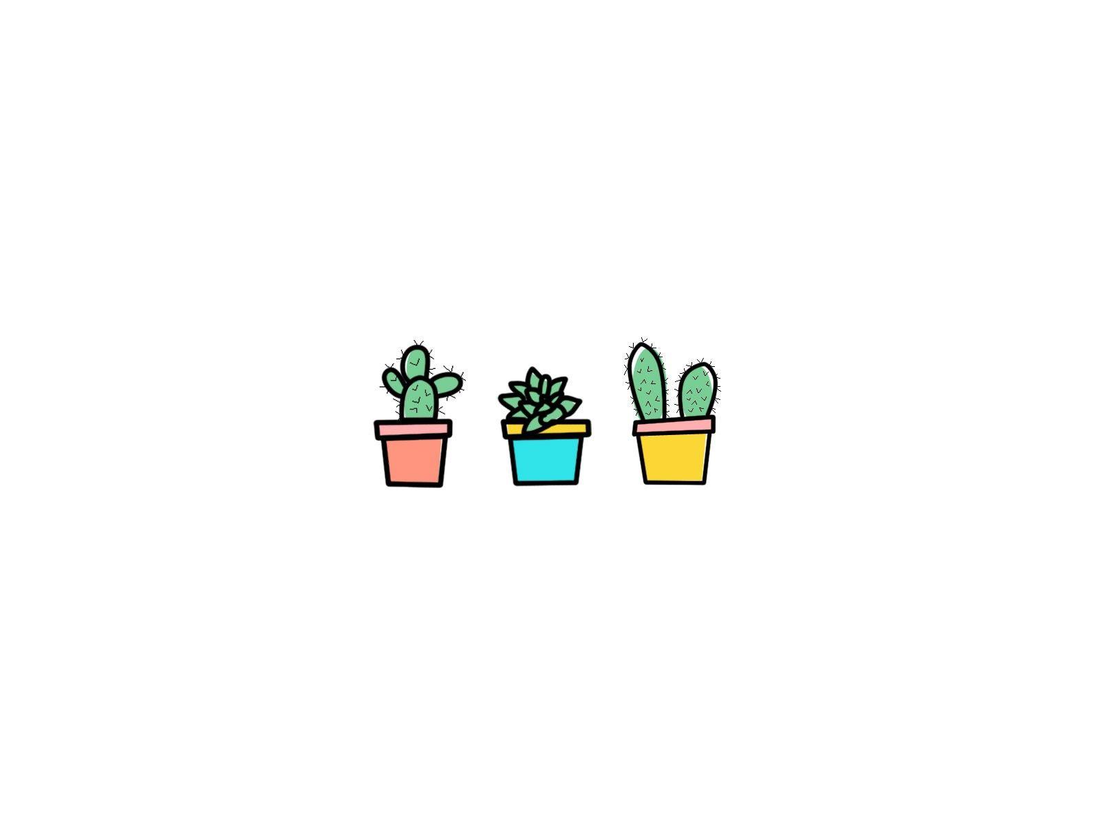 Cute Succulent Wallpapers - Top Free Cute Succulent Backgrounds ...
