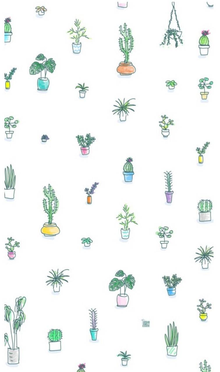 Cute Succulent Wallpapers - Top Free Cute Succulent Backgrounds ...
