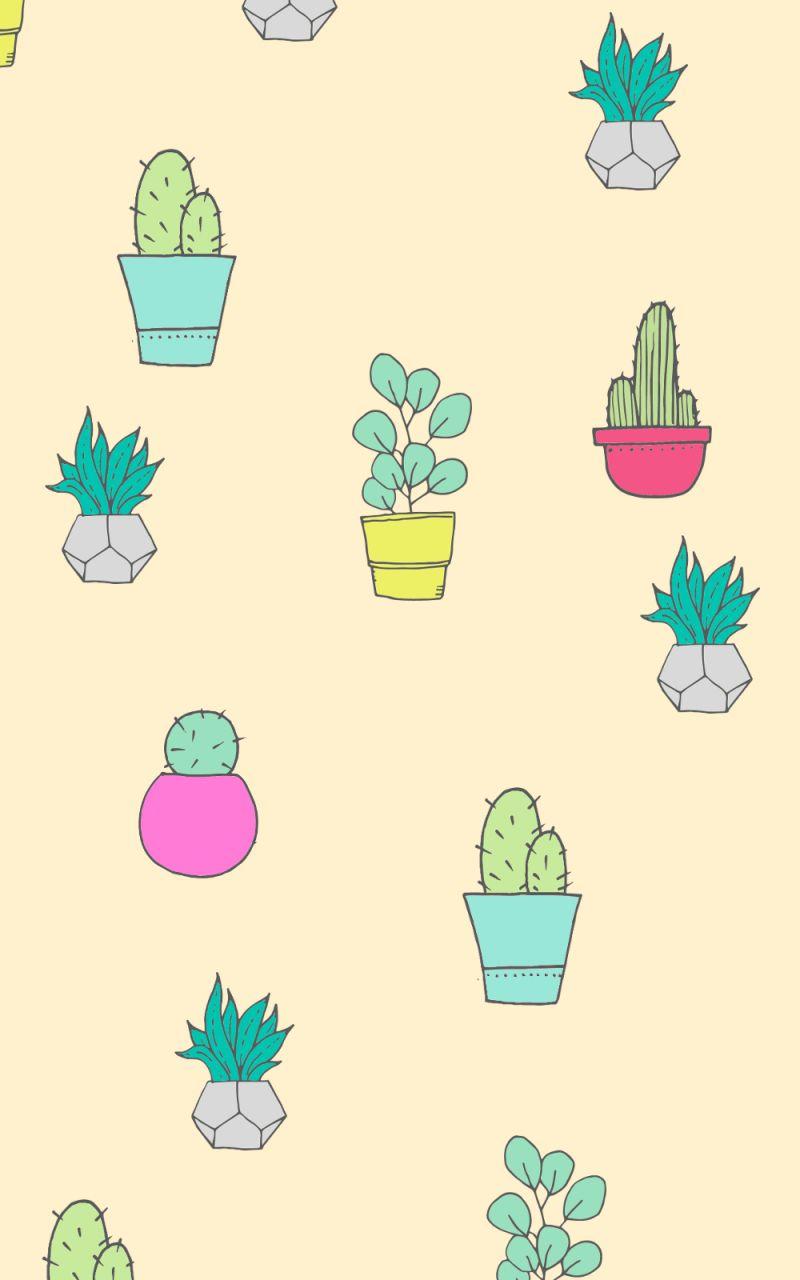Cute Succulent Wallpapers - Top Free Cute Succulent Backgrounds ...