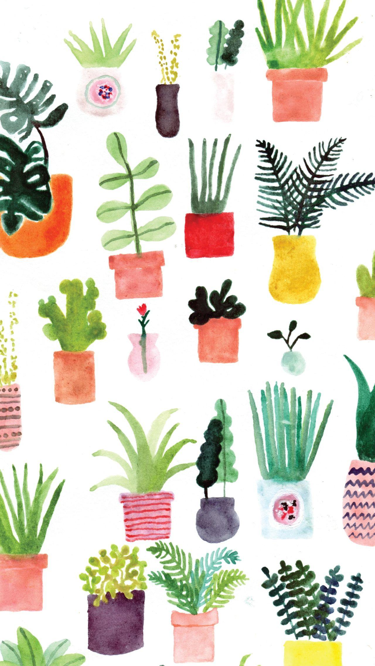 Cute Succulent Wallpapers - Top Free Cute Succulent Backgrounds ...