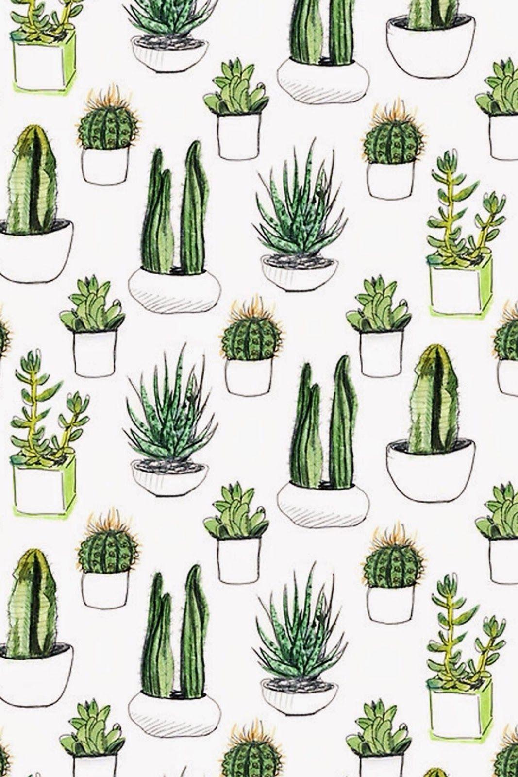 Cute Succulent Wallpapers - Top Free Cute Succulent Backgrounds ...