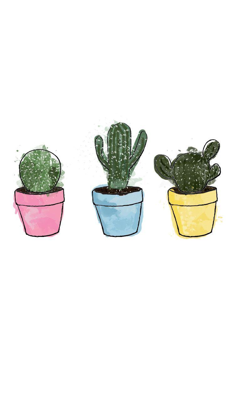 Cute Succulent Wallpapers - Top Free Cute Succulent Backgrounds ...