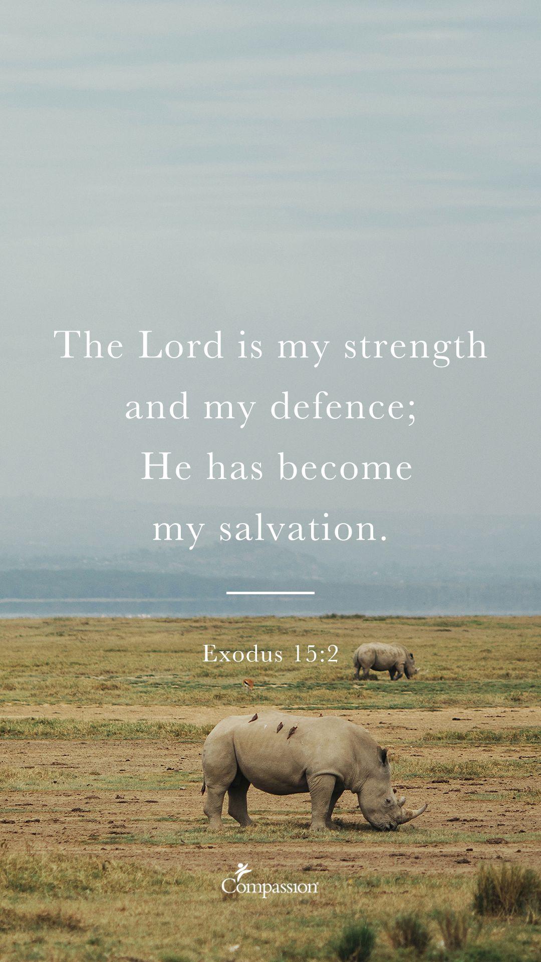 Beautiful Bible Verse Wallpapers - Top Free Beautiful Bible Verse ...