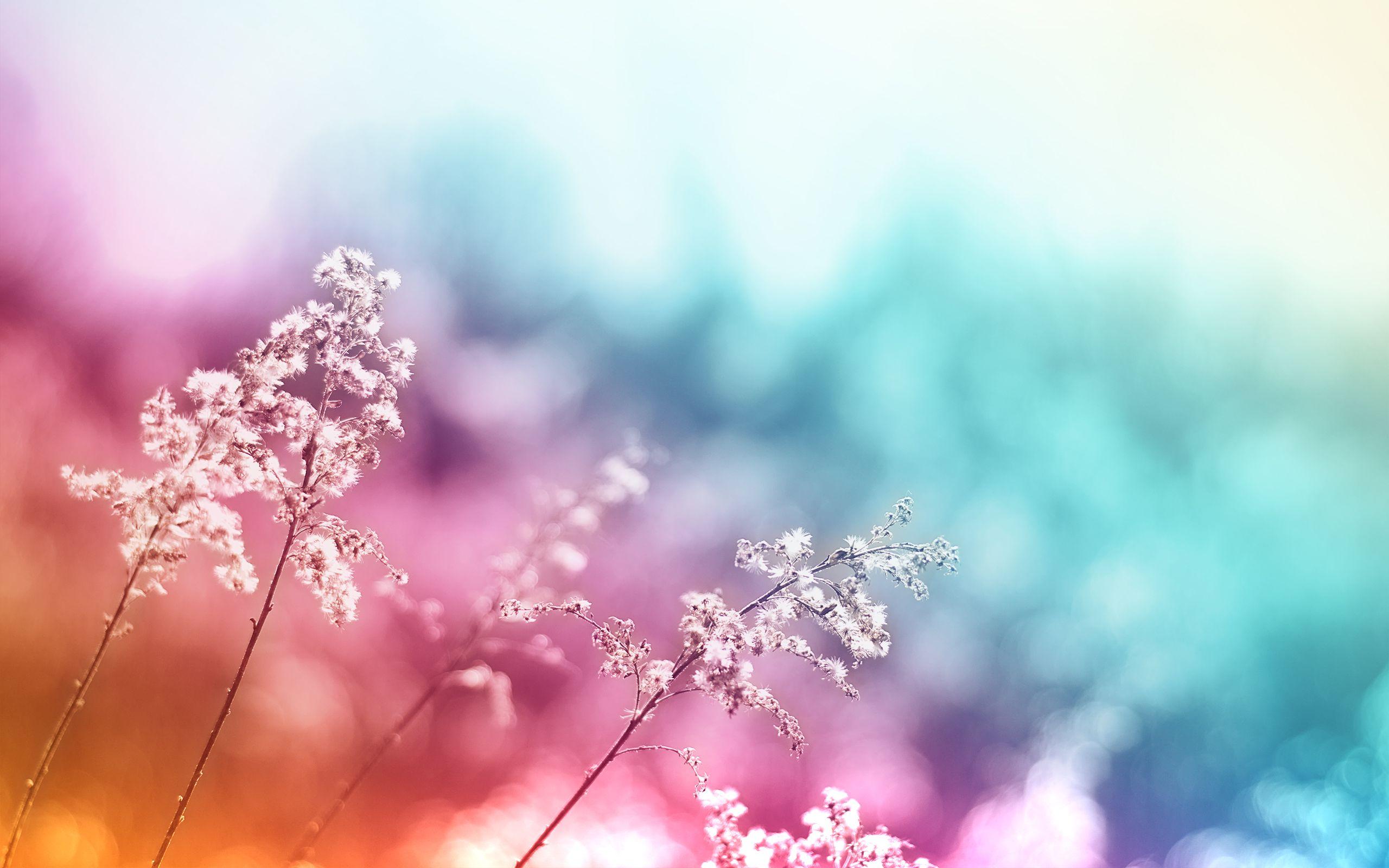 Abstract Flowers Desktop Wallpapers - Top Free Abstract Flowers Desktop ...