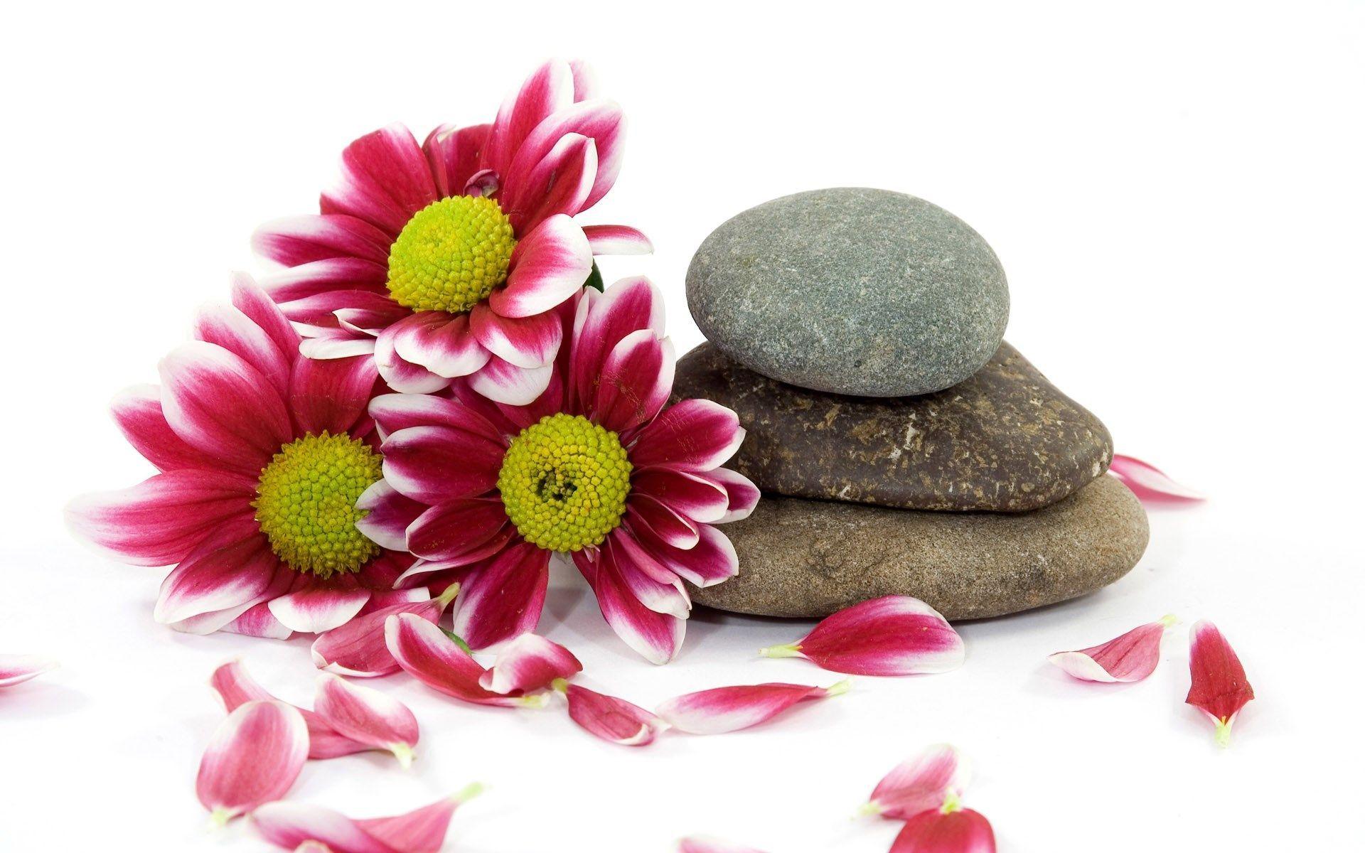 Beauty Spa Wallpapers - Top Free Beauty Spa Backgrounds - WallpaperAccess