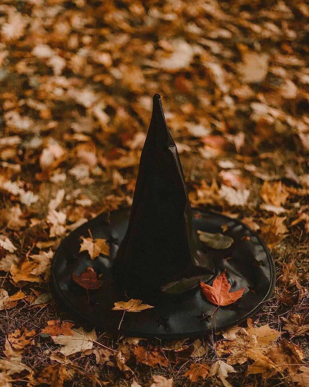 Autumn Witch Wallpapers - Top Free Autumn Witch Backgrounds ...