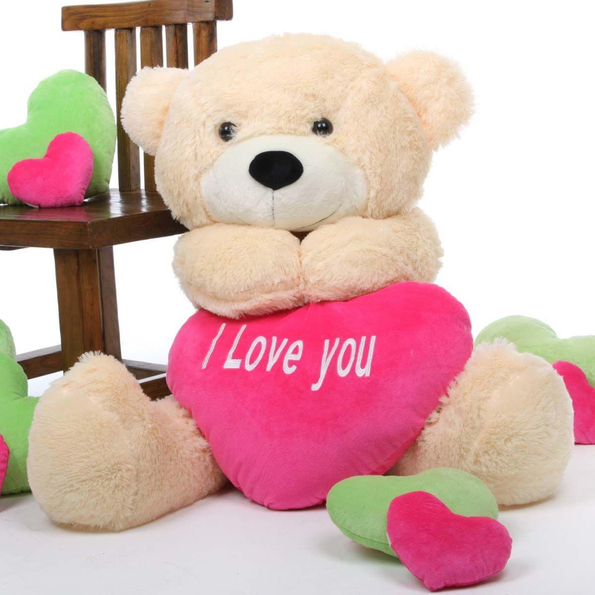 Beautiful Bear Wallpapers - Top Free Beautiful Bear Backgrounds ...
