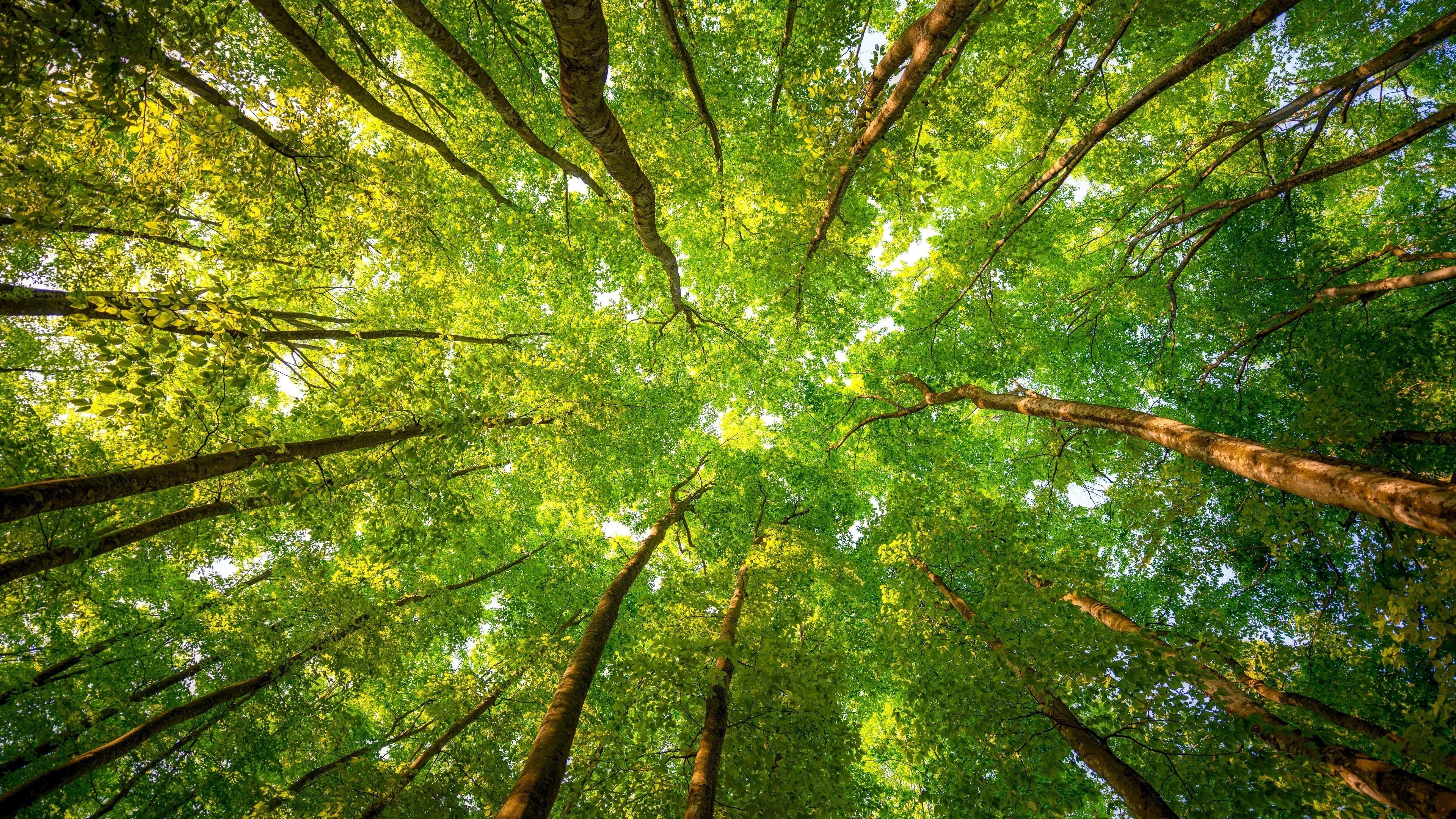 3840 X 2160 Spring Wallpapers - Top Free 3840 X 2160 Spring Backgrounds ...