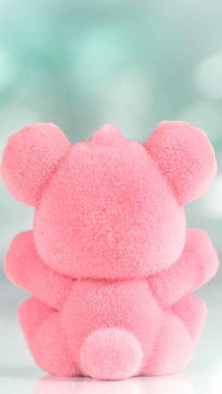 Beautiful Bear Wallpapers - Top Free Beautiful Bear Backgrounds ...