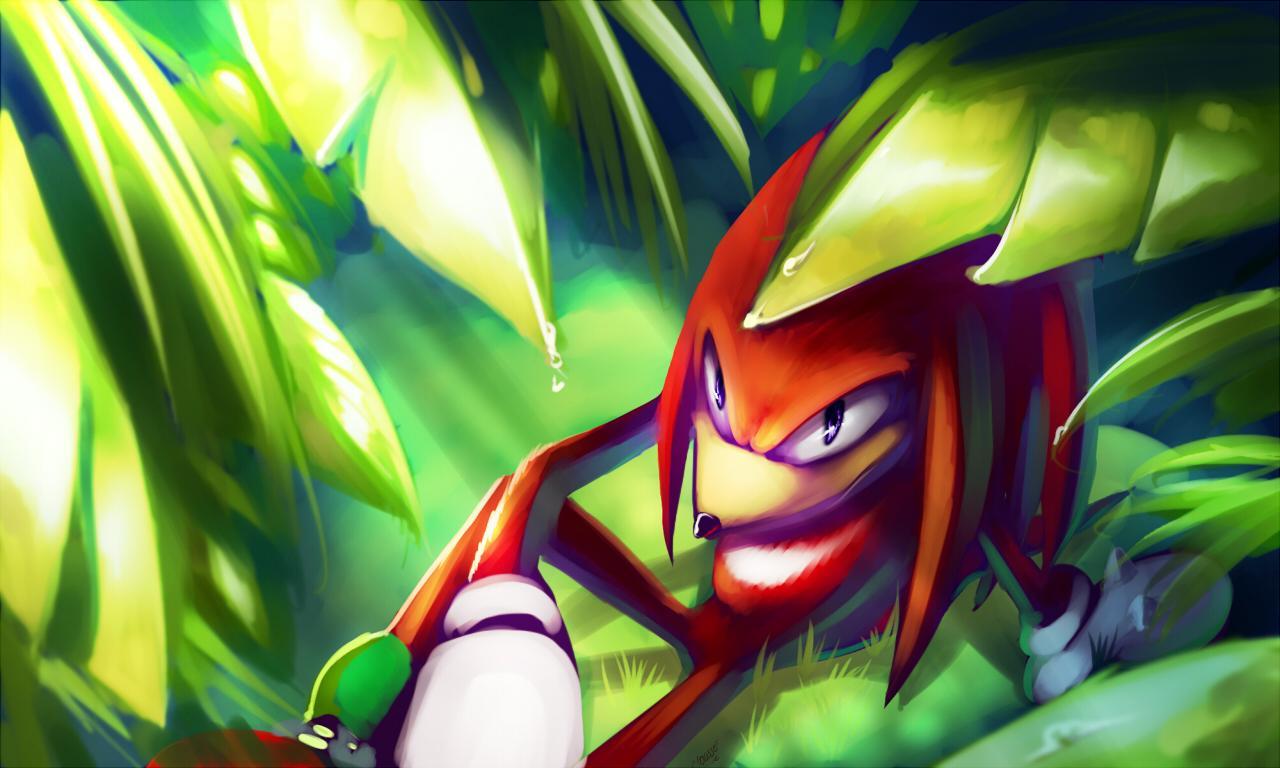 Knuckles the Echidna Wallpapers - Top Free Knuckles the Echidna ...