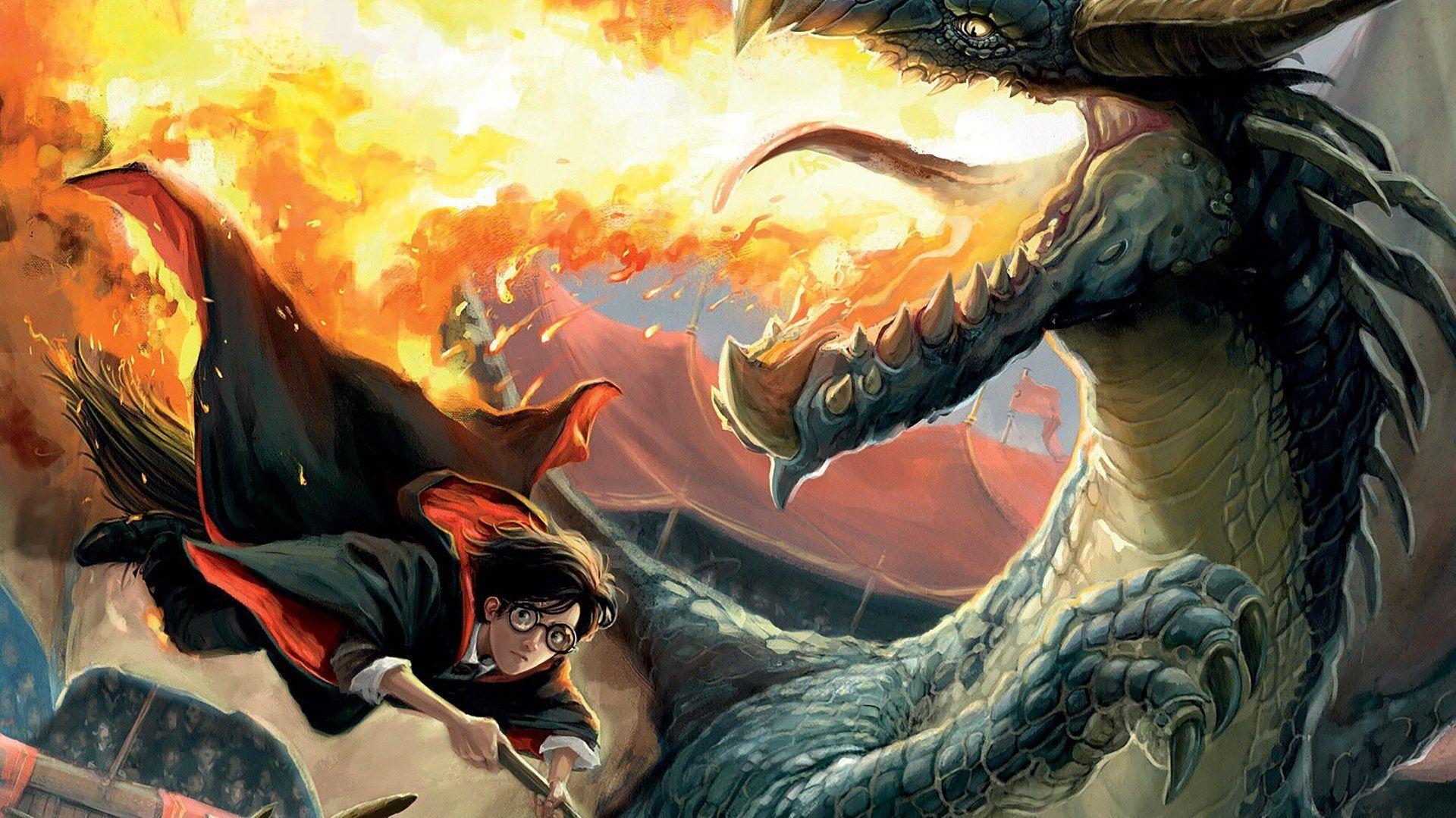 Book Dragon Wallpapers - Top Free Book Dragon Backgrounds - WallpaperAccess