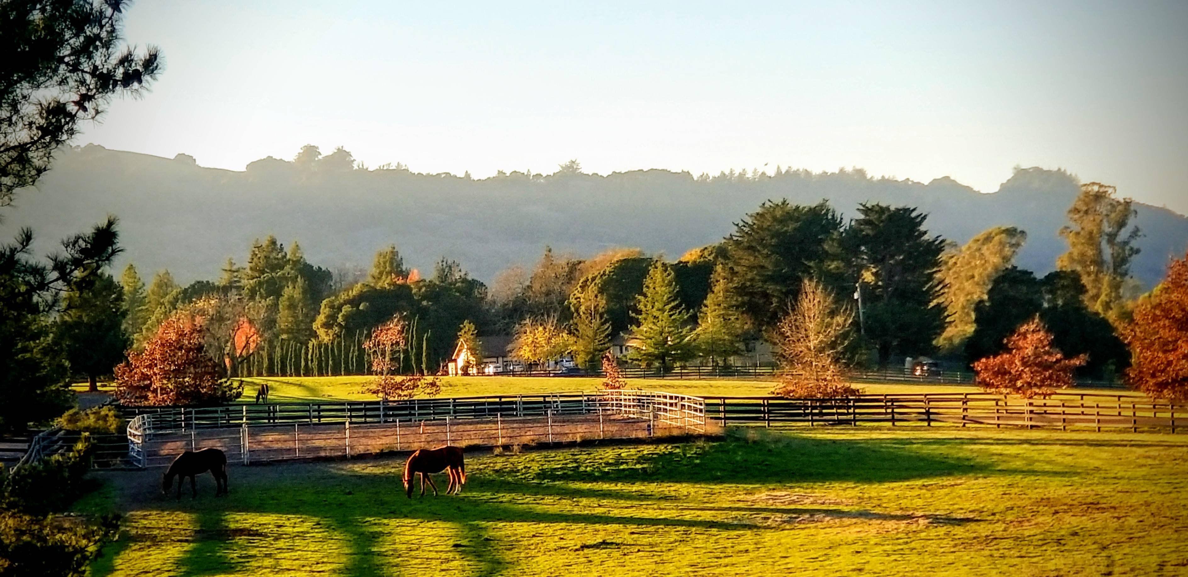 Santa Rosa Wallpapers - Top Free Santa Rosa Backgrounds - WallpaperAccess