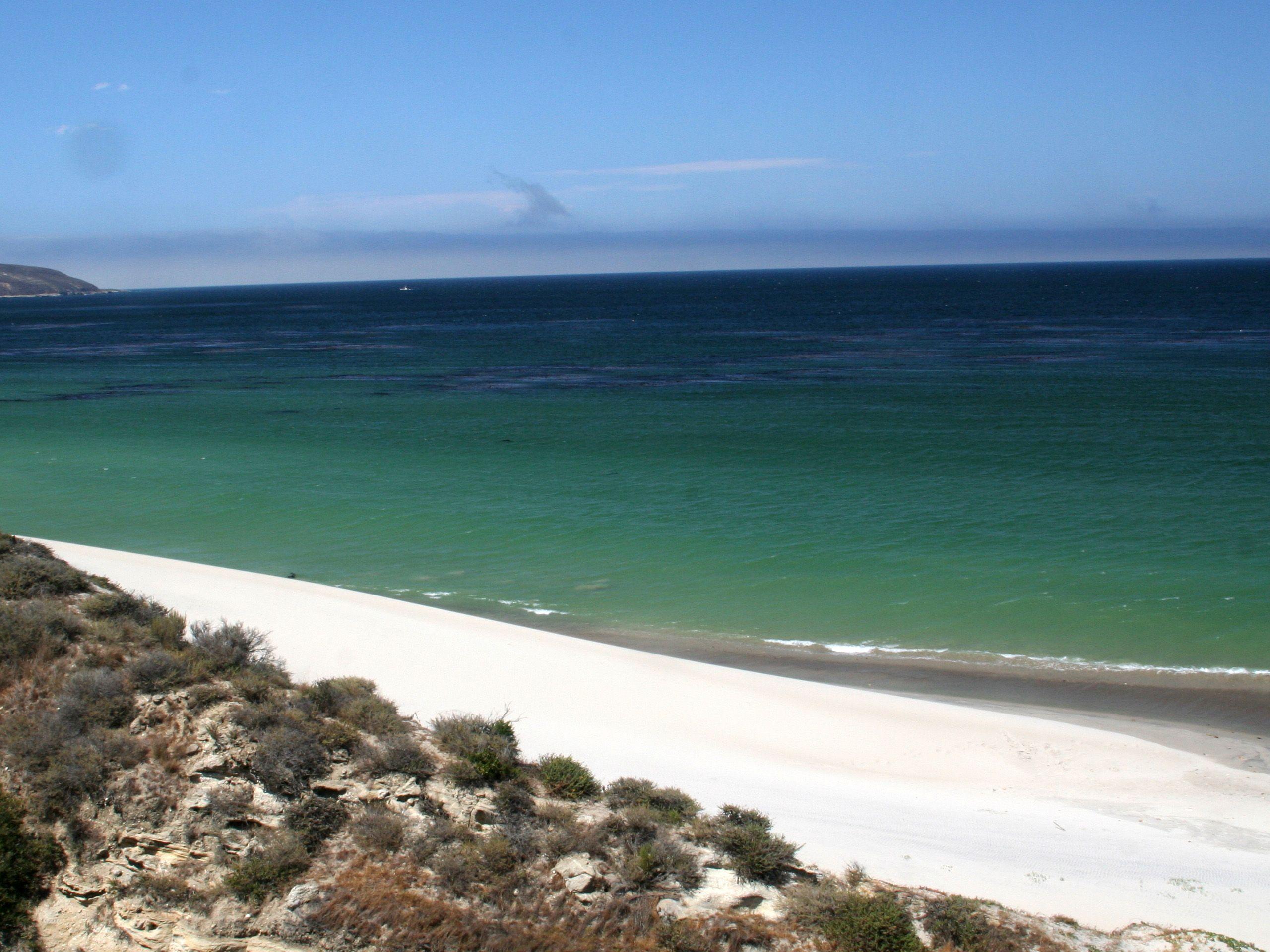 Santa Rosa Wallpapers - Top Free Santa Rosa Backgrounds - WallpaperAccess