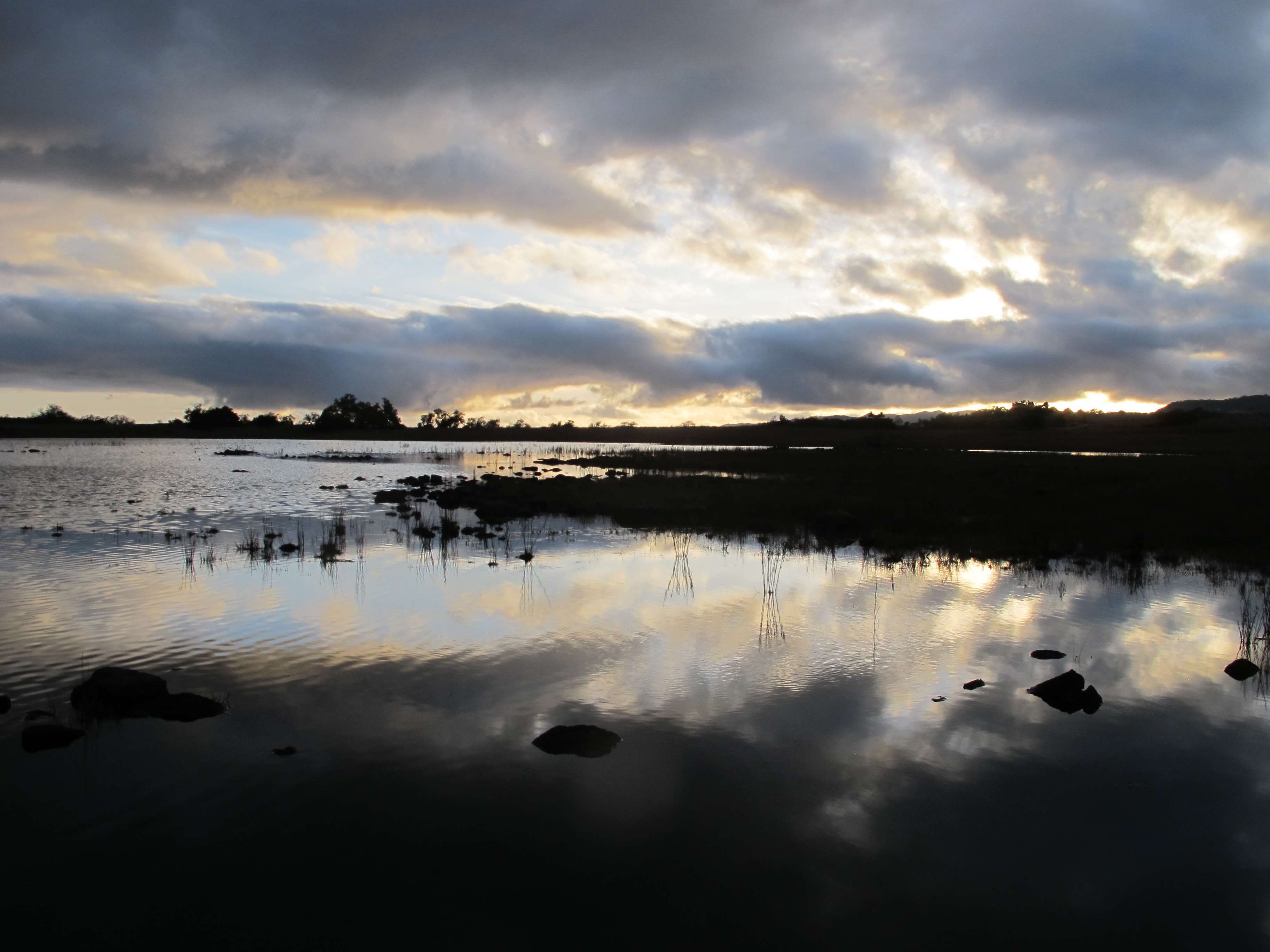 Santa Rosa Wallpapers - Top Free Santa Rosa Backgrounds - WallpaperAccess