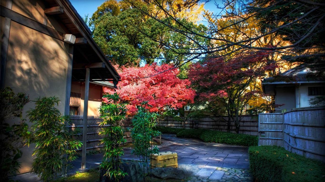 Japanese Tea Room Wallpapers - Top Free Japanese Tea Room Backgrounds ...