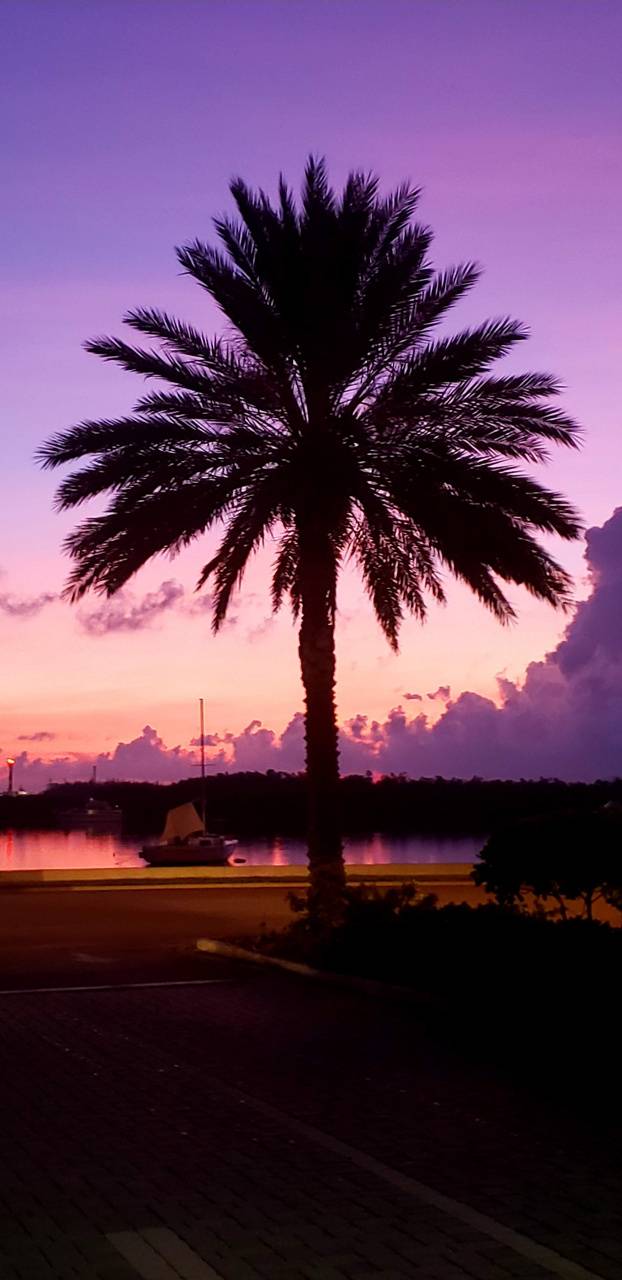 Florida Sunrise Wallpapers - Top Free Florida Sunrise Backgrounds ...