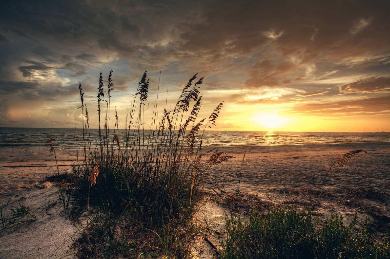 Florida Sunrise Wallpapers - Top Free Florida Sunrise Backgrounds ...