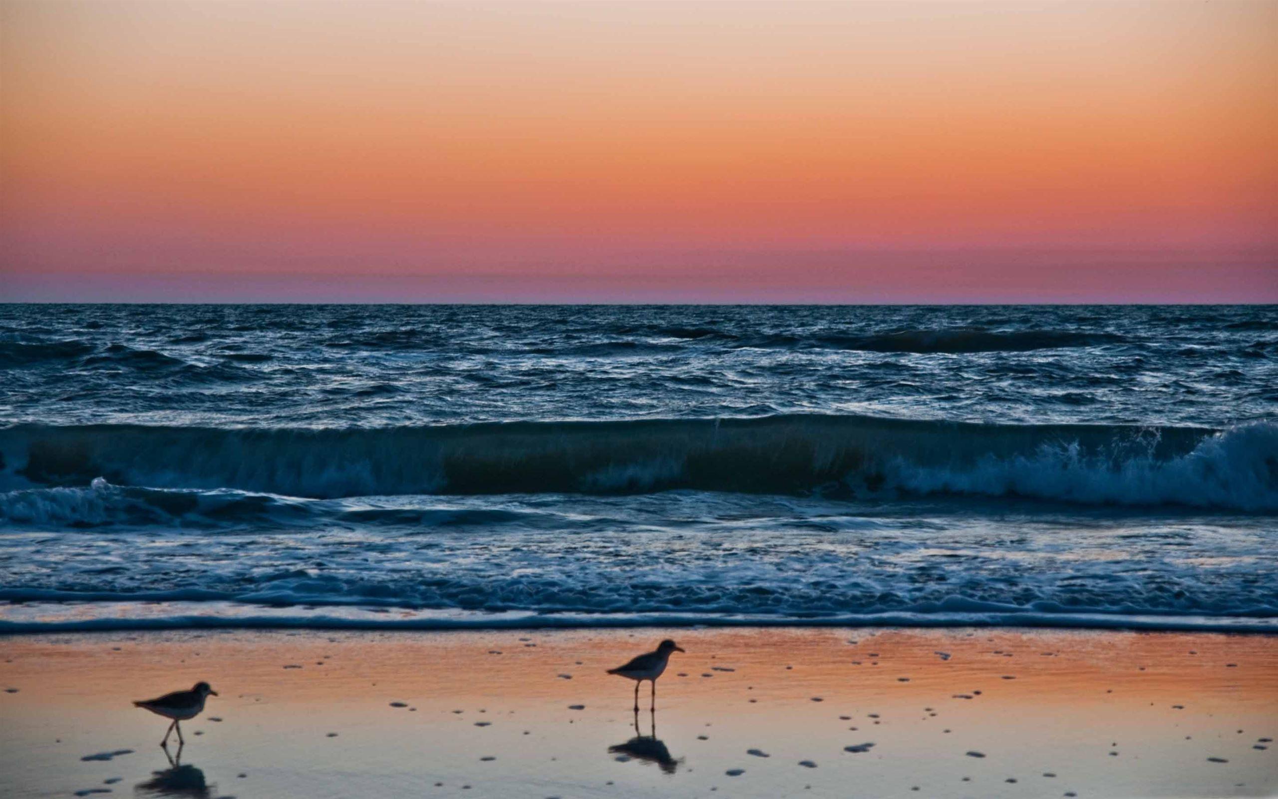 Florida Sunrise Wallpapers - Top Free Florida Sunrise Backgrounds ...