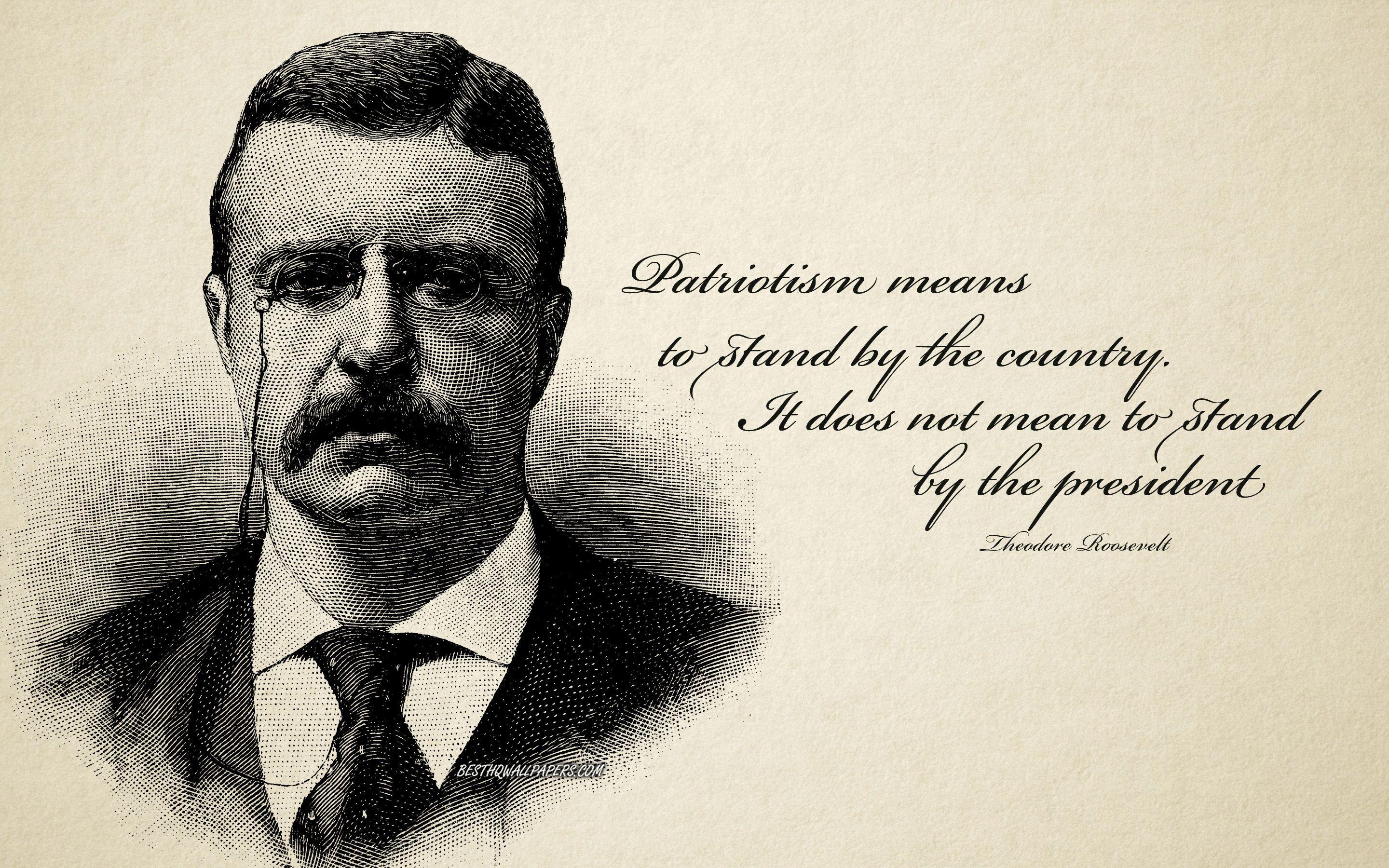 Theodore Roosevelt Wallpapers - Top Free Theodore Roosevelt Backgrounds ...