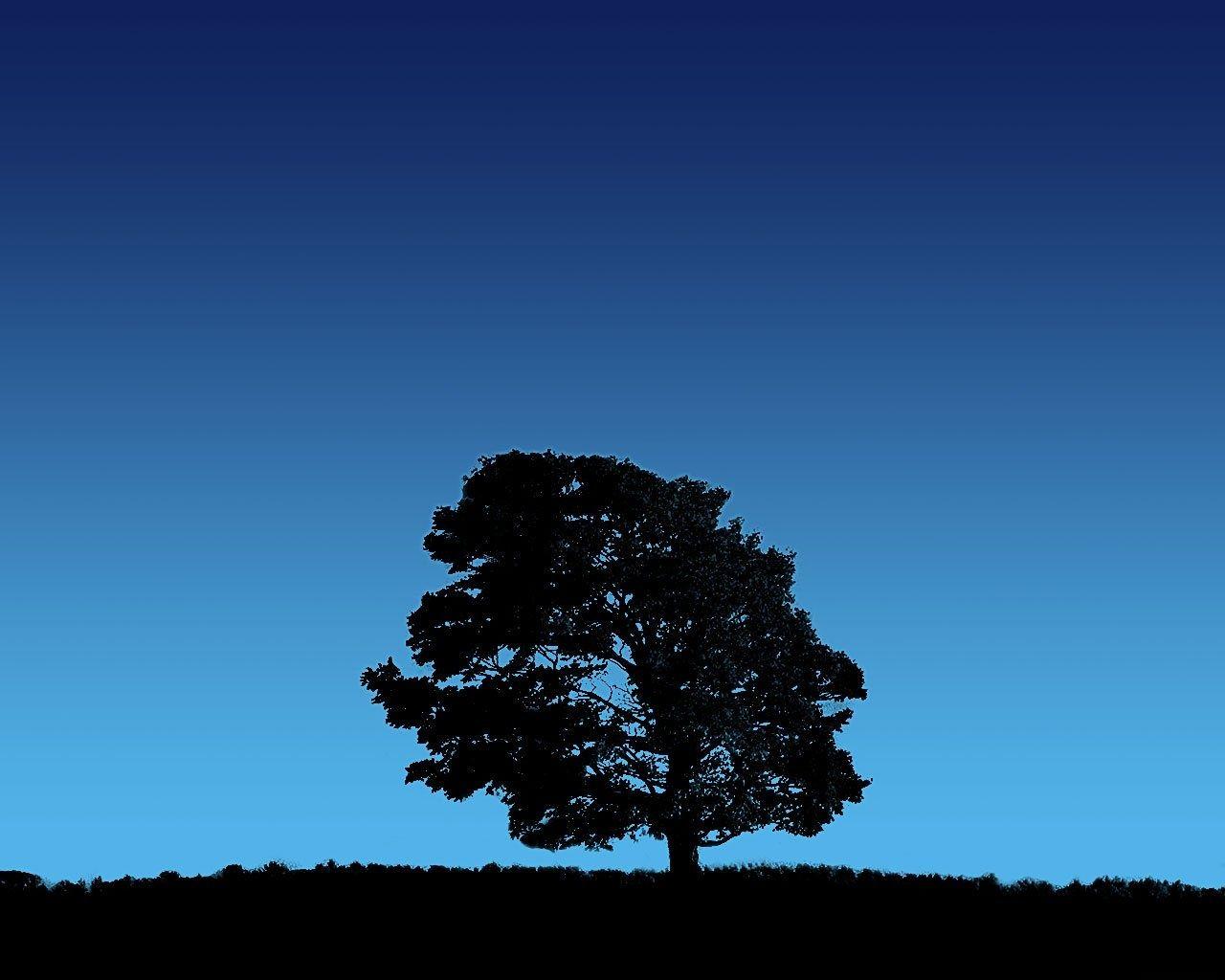 Sky and Tree Wallpapers - Top Free Sky and Tree Backgrounds ...