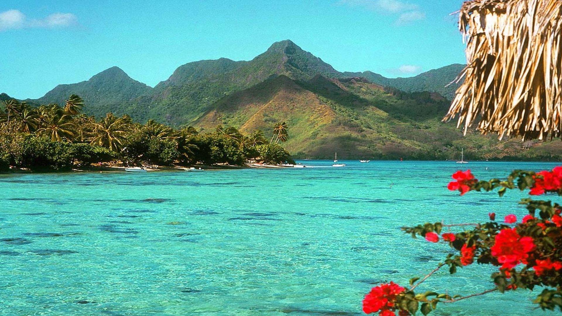 Aesthetic Beach Computer Wallpapers - Top Free Aesthetic Beach Computer ...