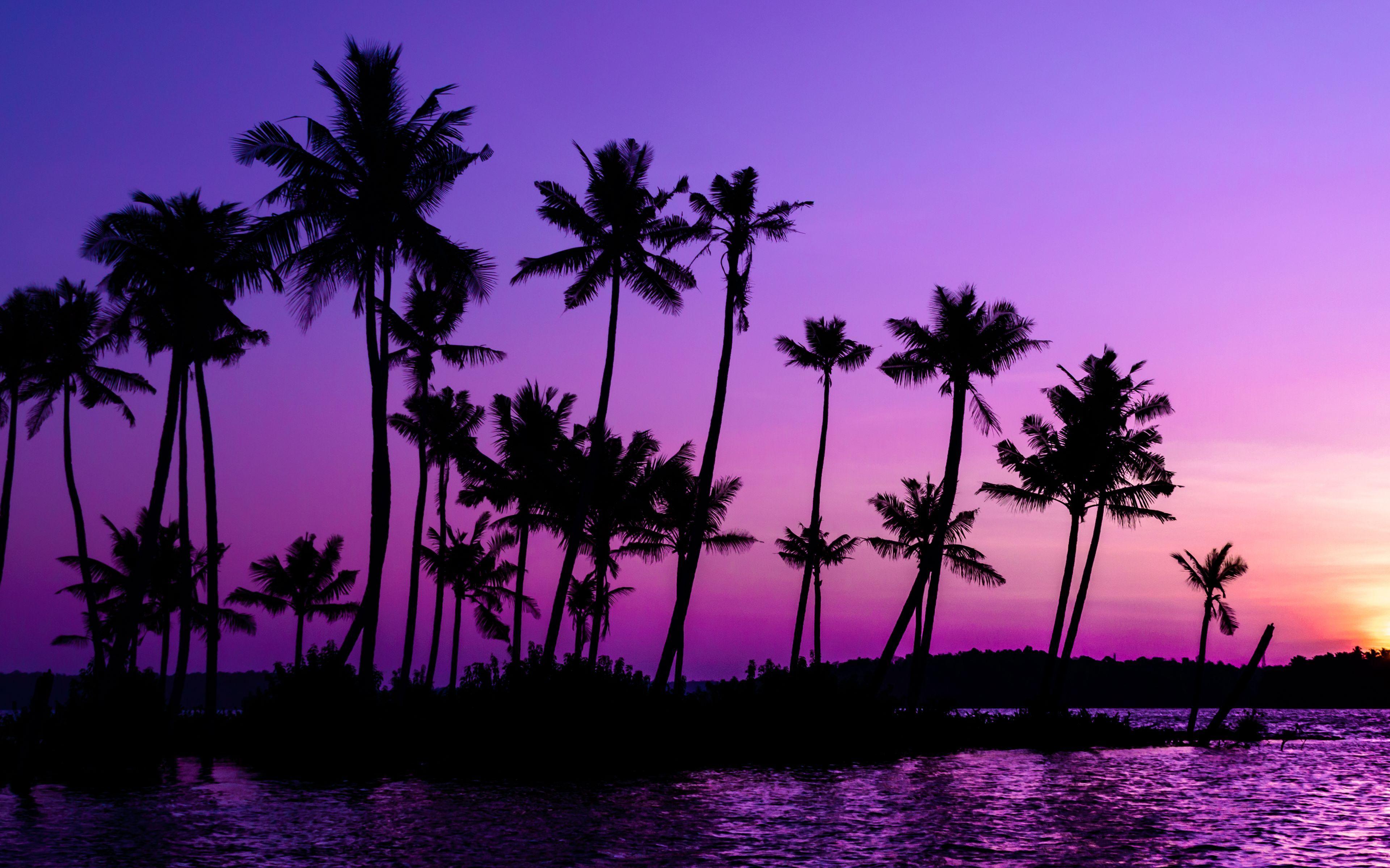 4K Purple Tree Wallpapers - Top Free 4K Purple Tree Backgrounds ...