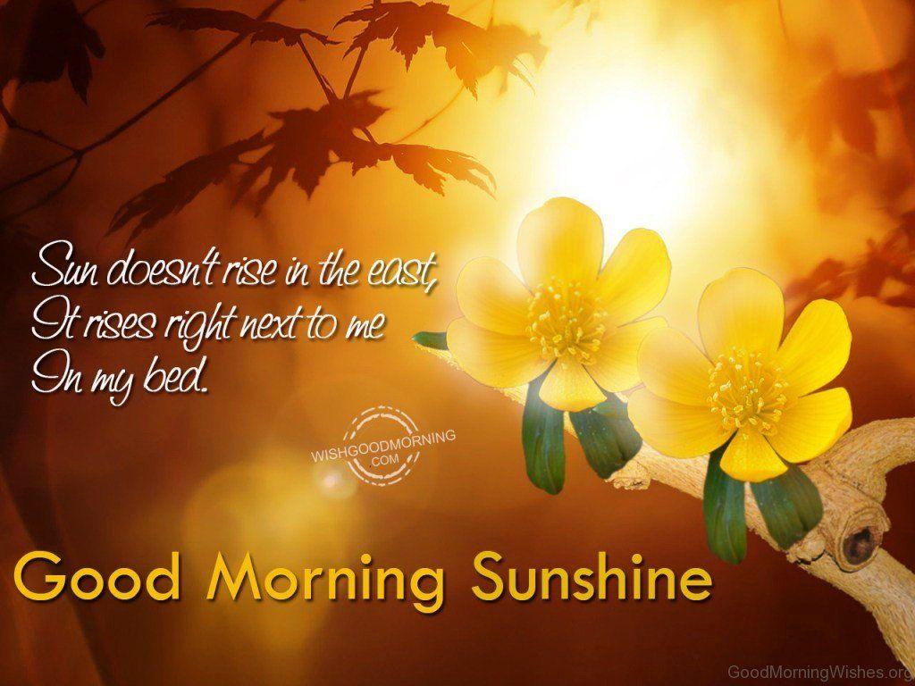 Good Morning Sunshine Wallpapers - Top Free Good Morning Sunshine ...